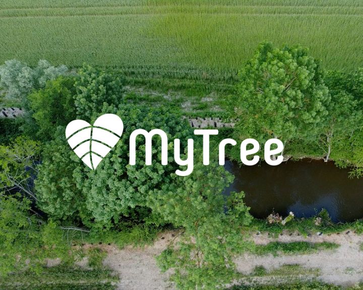 MyTree | Double You Design